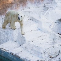 Maintenance Agreement – Plano Heating and Air Conditioning Services ...